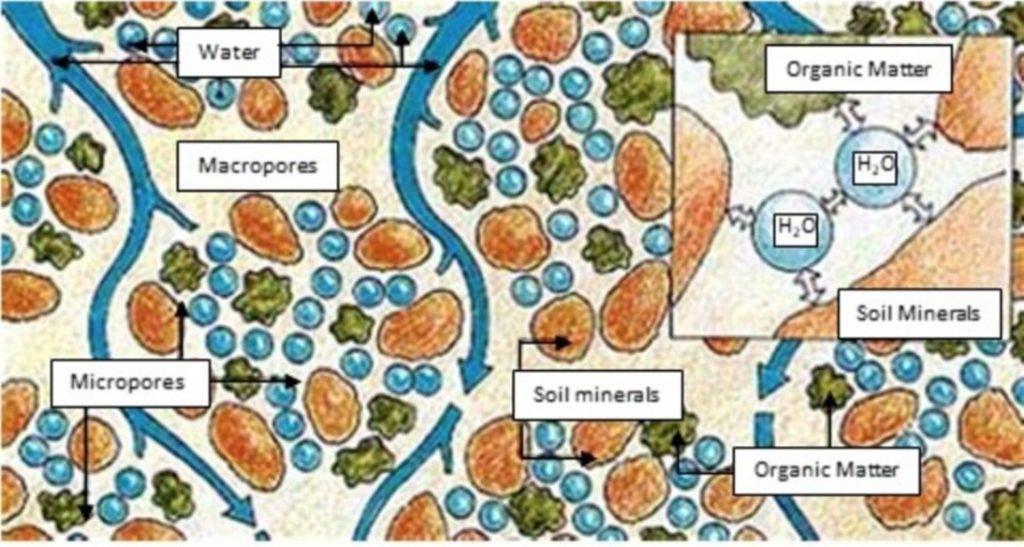 What Is Soil Fertility? Understanding Soil Structure, Aggregation, and ...
